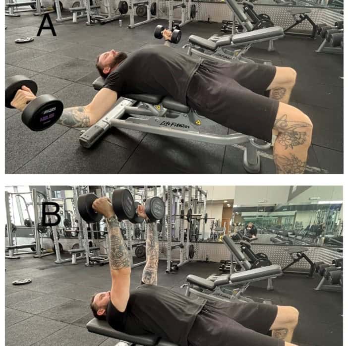 Simple upper body workout plan - Anytime Fitness UK Blog