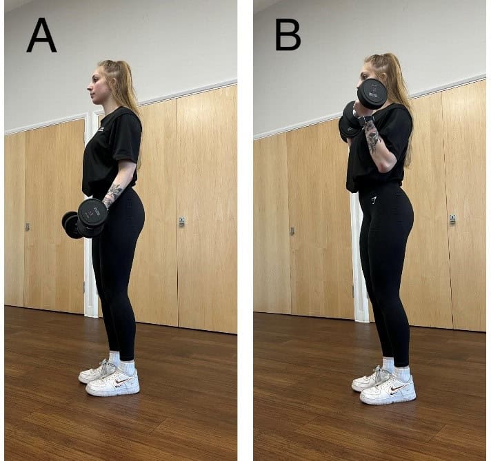 Women's dumbbell workout plan - Anytime Fitness UK Blog